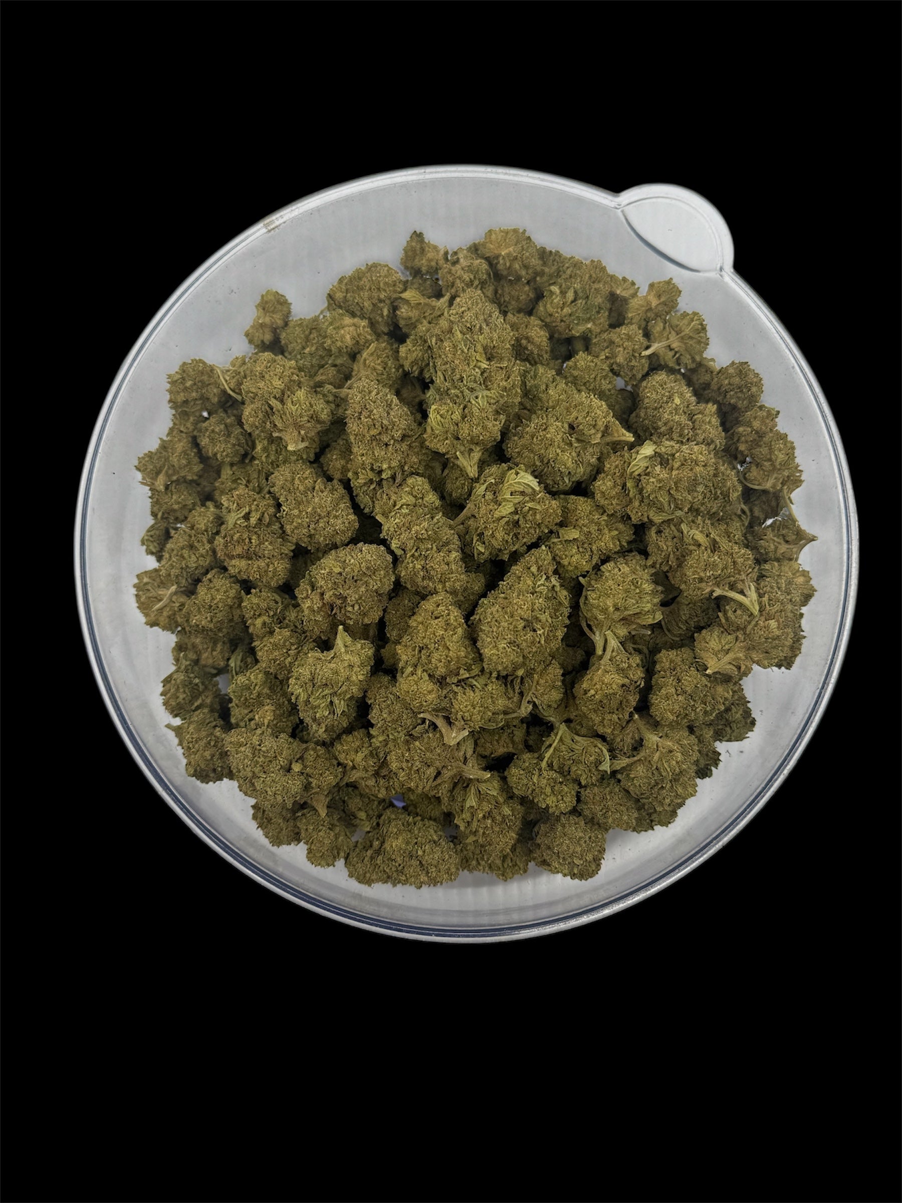 Upside Down Runtz Budget THCA | Small Price, Big Flavor – THCA King