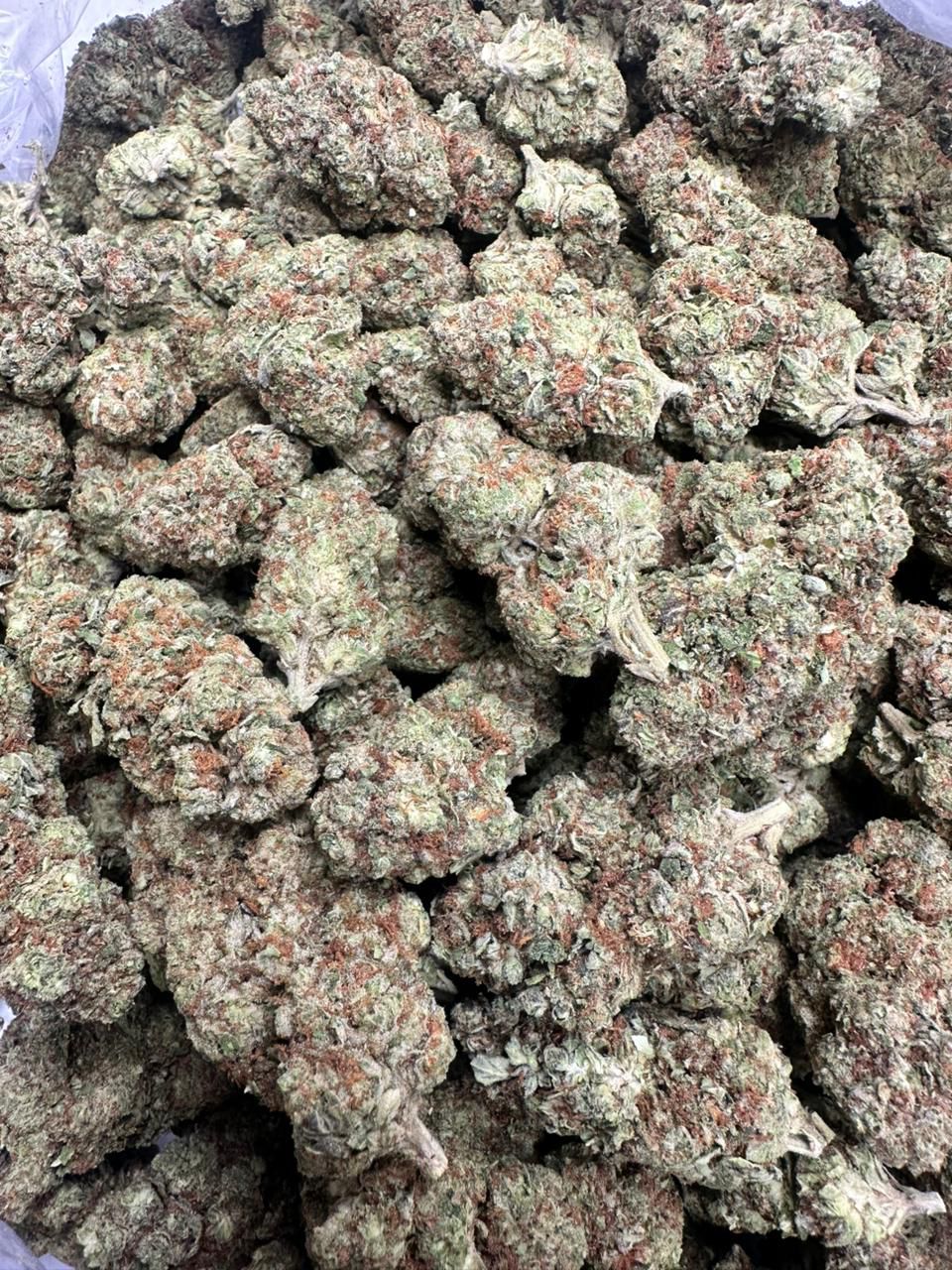 Horchata Light Dep THCA Flower Full Size Buds – THCA King