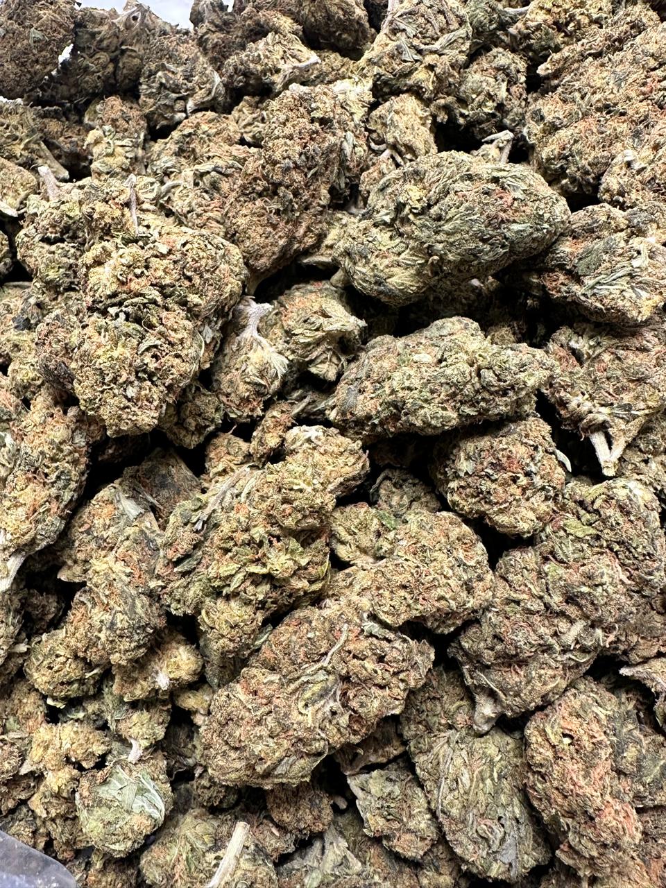 Forbidden Fruit Budget THCA | Small Price, Big Flavor – THCA King