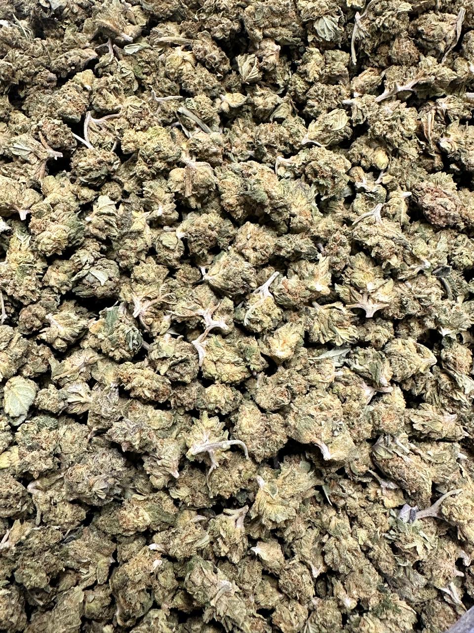 Peach Rings Budget THCA | Small Price, Big Flavor – THCA King