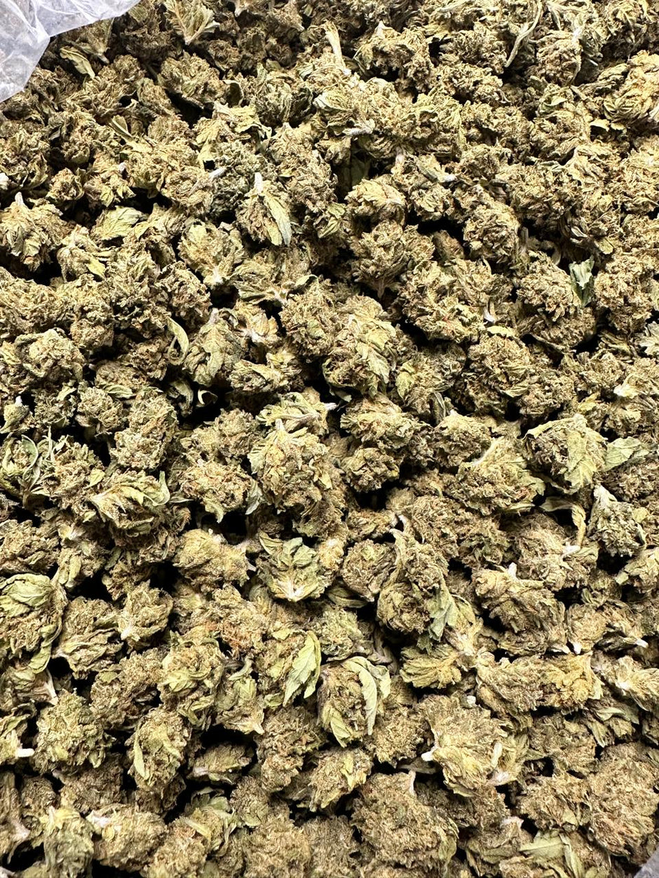 Greenhouse THCA Flower $550 Pounds! – THCA King