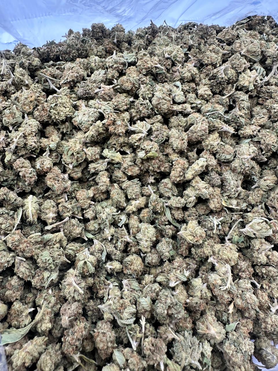 Fire OG Budget THCA Smalls | Affordable Value – THCA King