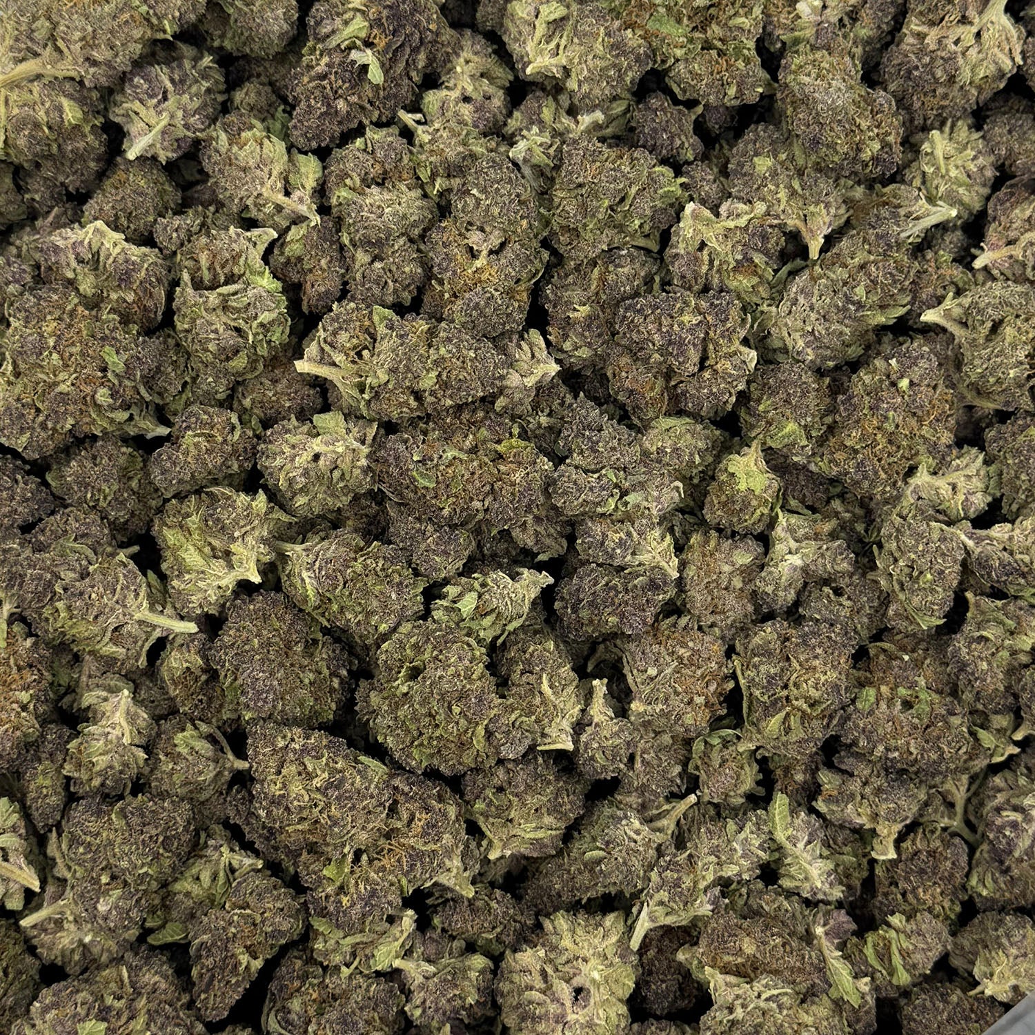 Watermelon Zkittles – Budget THCA – THCA King