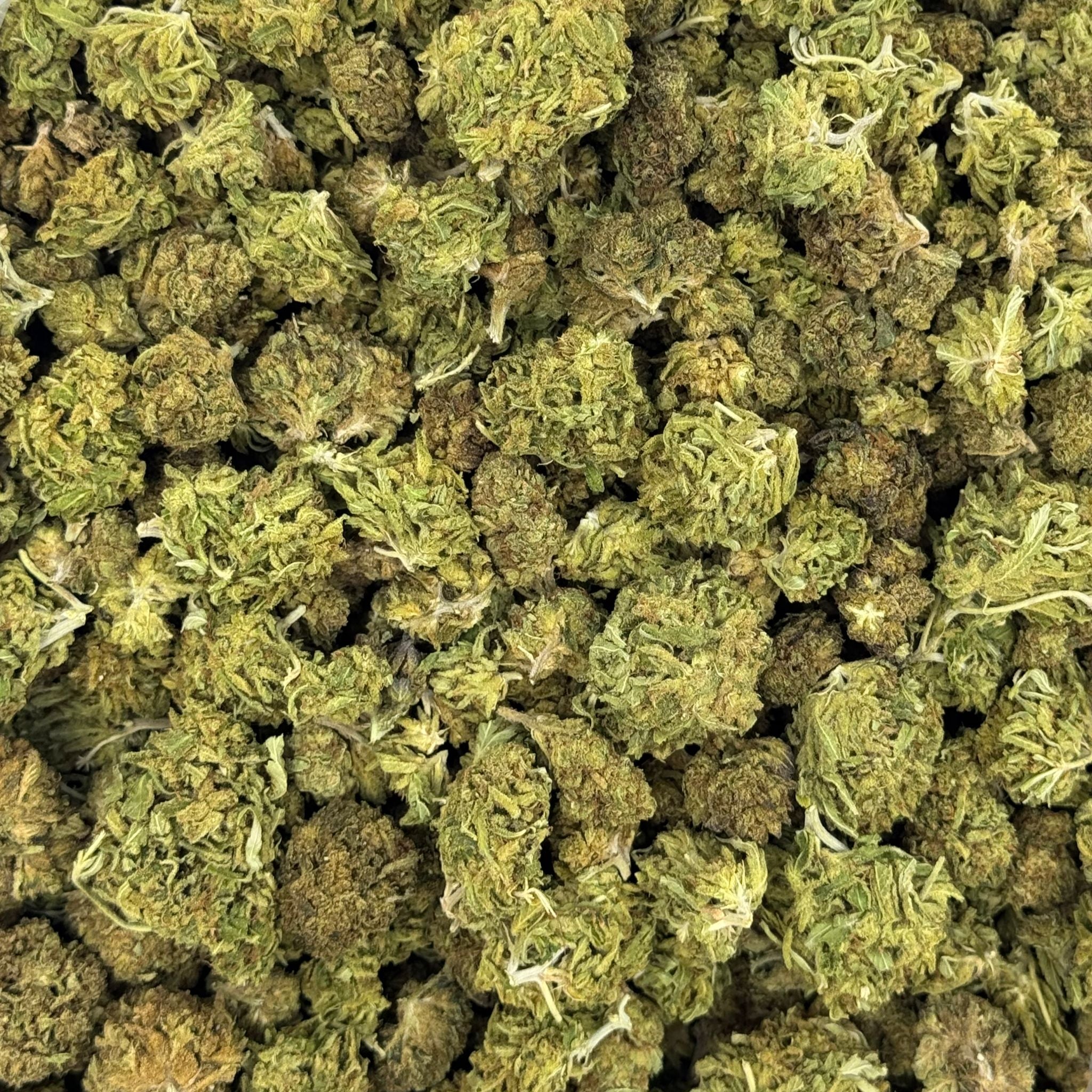 Greenhouse THCA Flower $550 Pounds! – THCA King