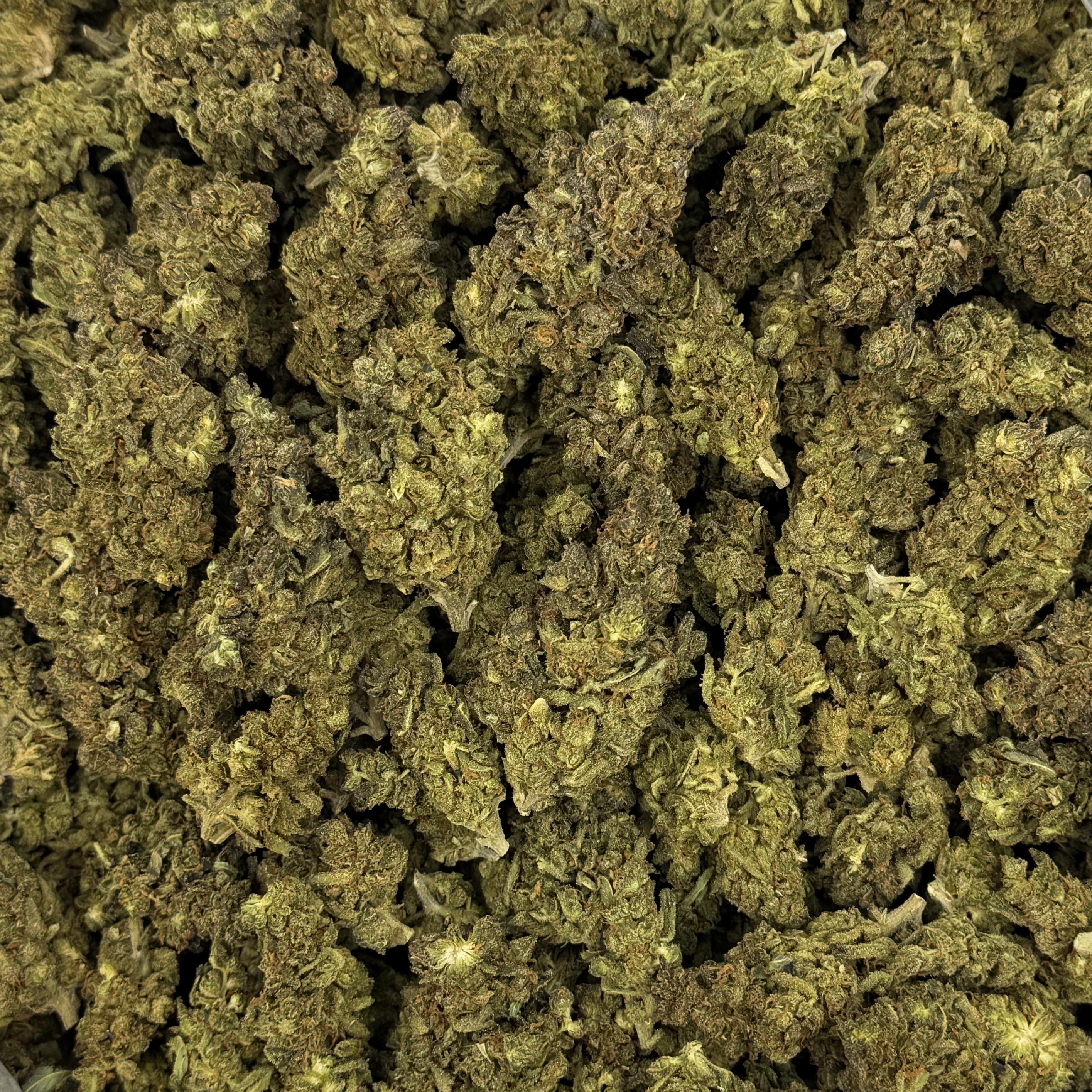 Nyquil – Budget THCA Buds – THCA King