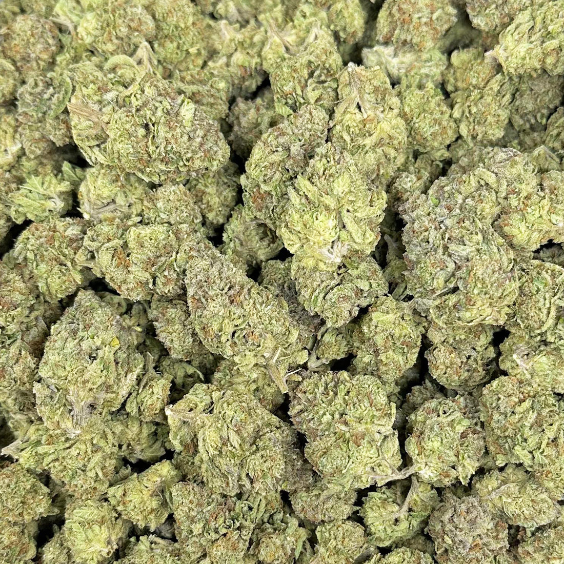 Supernova - Light Dep THCA (Full Size) – THCA King