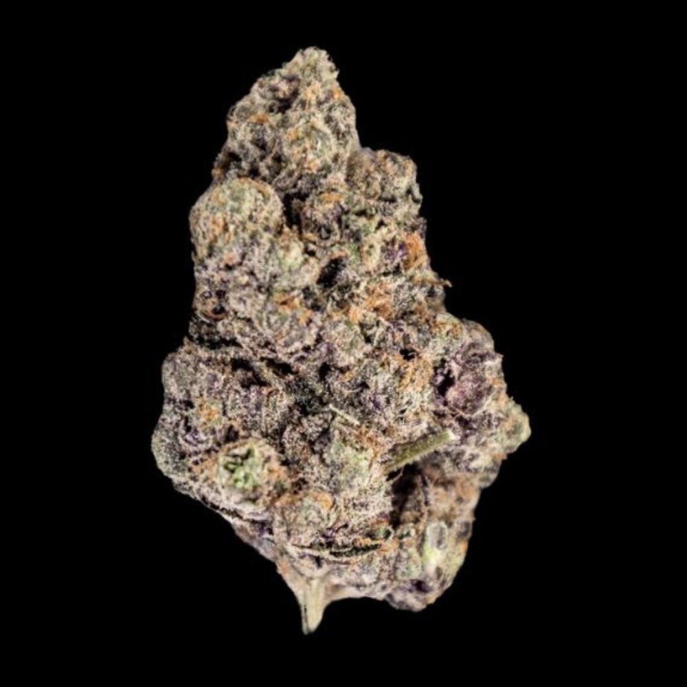 Cake Batter Indoor THCA Flower Full Size Buds – THCA King