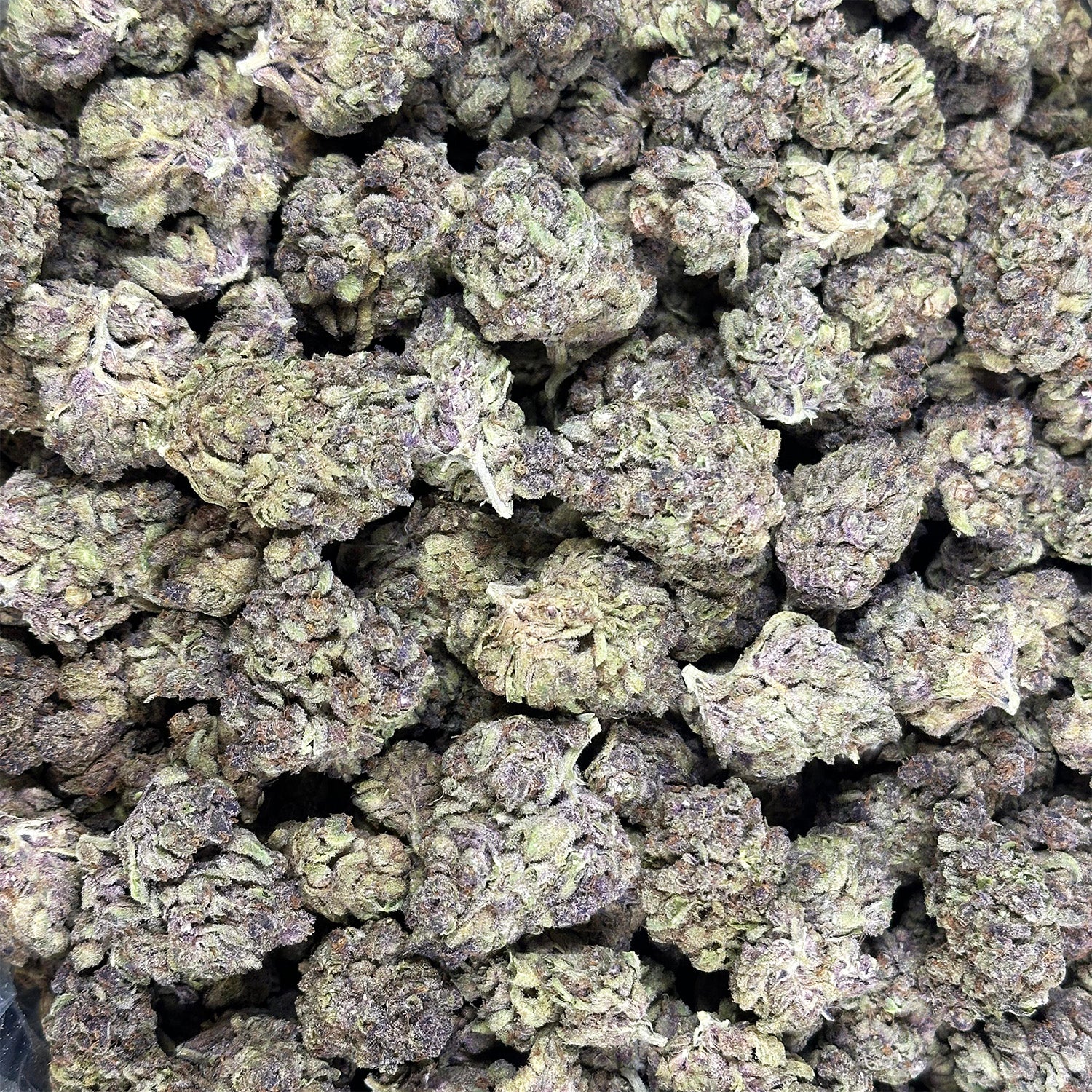 Greenhouse THCA Flower $550 Pounds! – THCA King