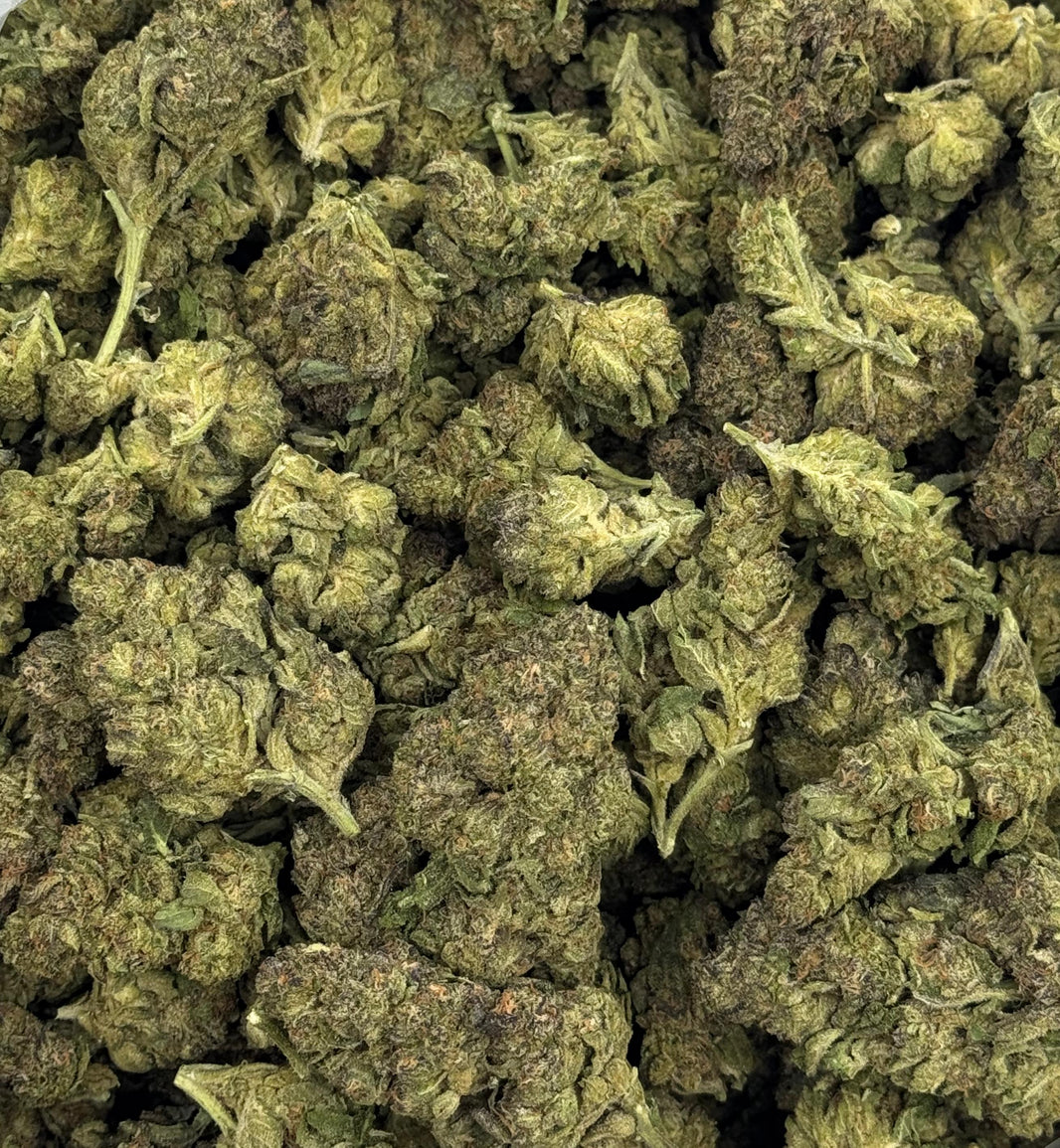 Greenhouse THCA Flower $550 Pounds! – THCA King