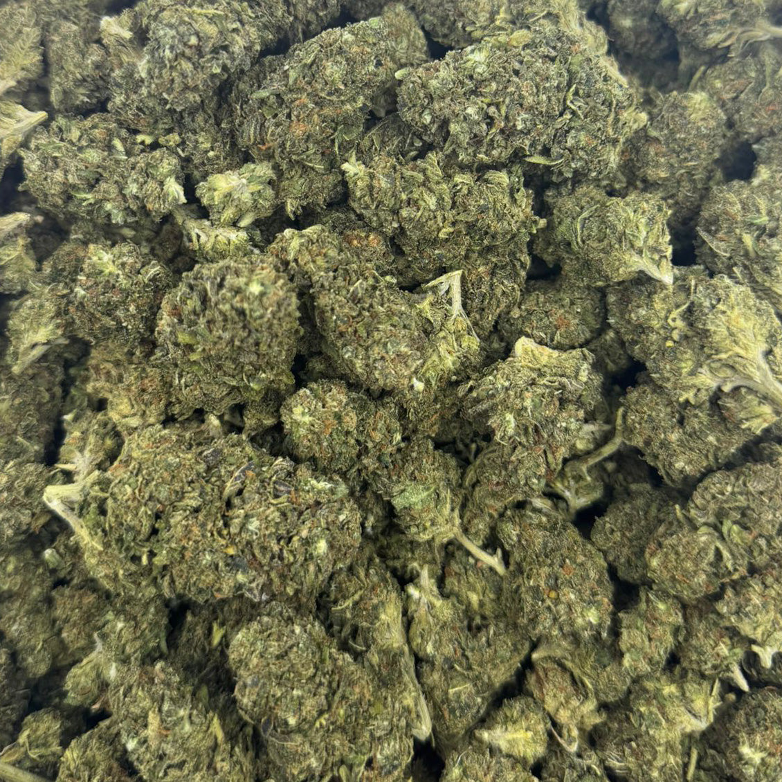 Cheap THCA Flower Pound – THCA King