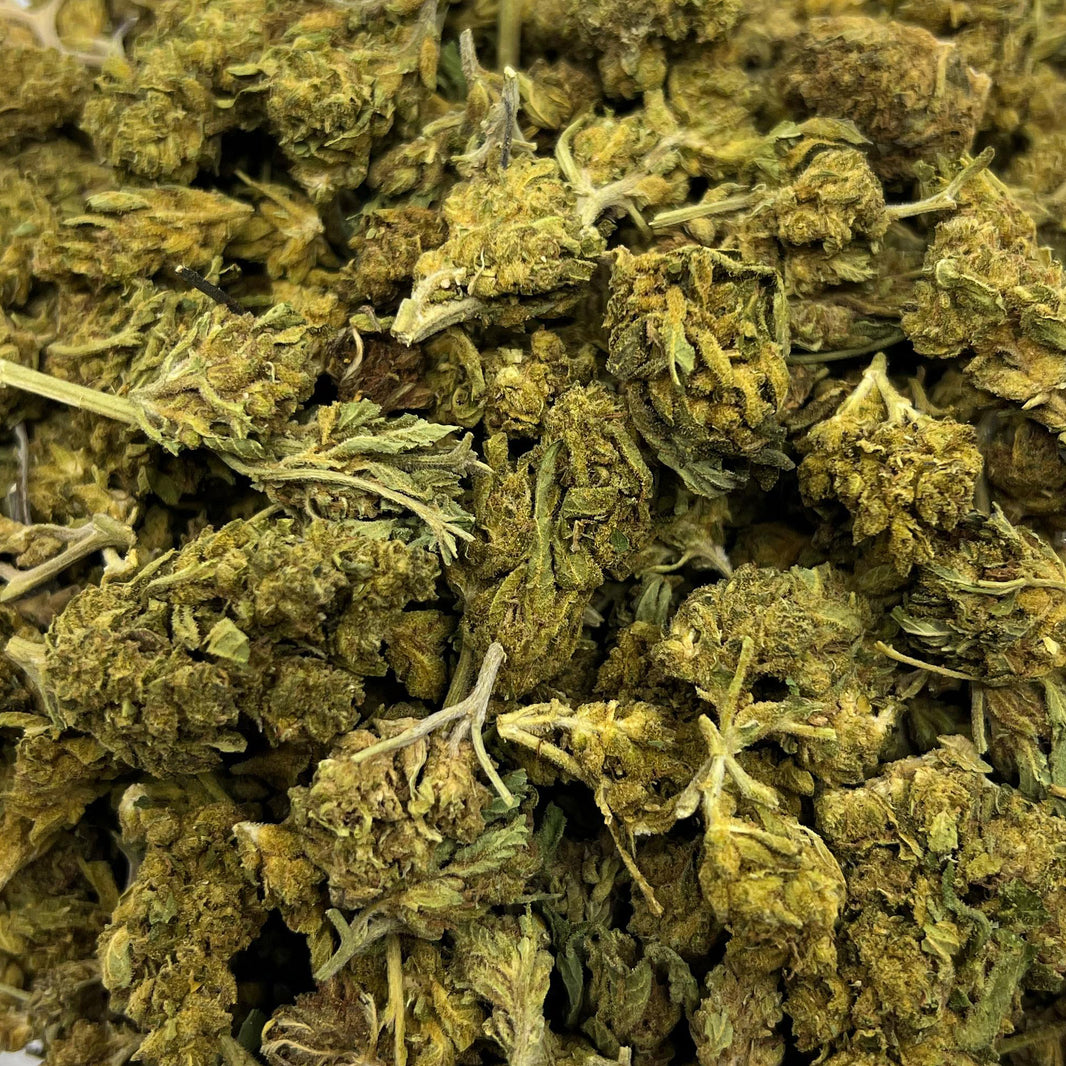 Greenhouse THCA Flower $550 Pounds! – THCA King