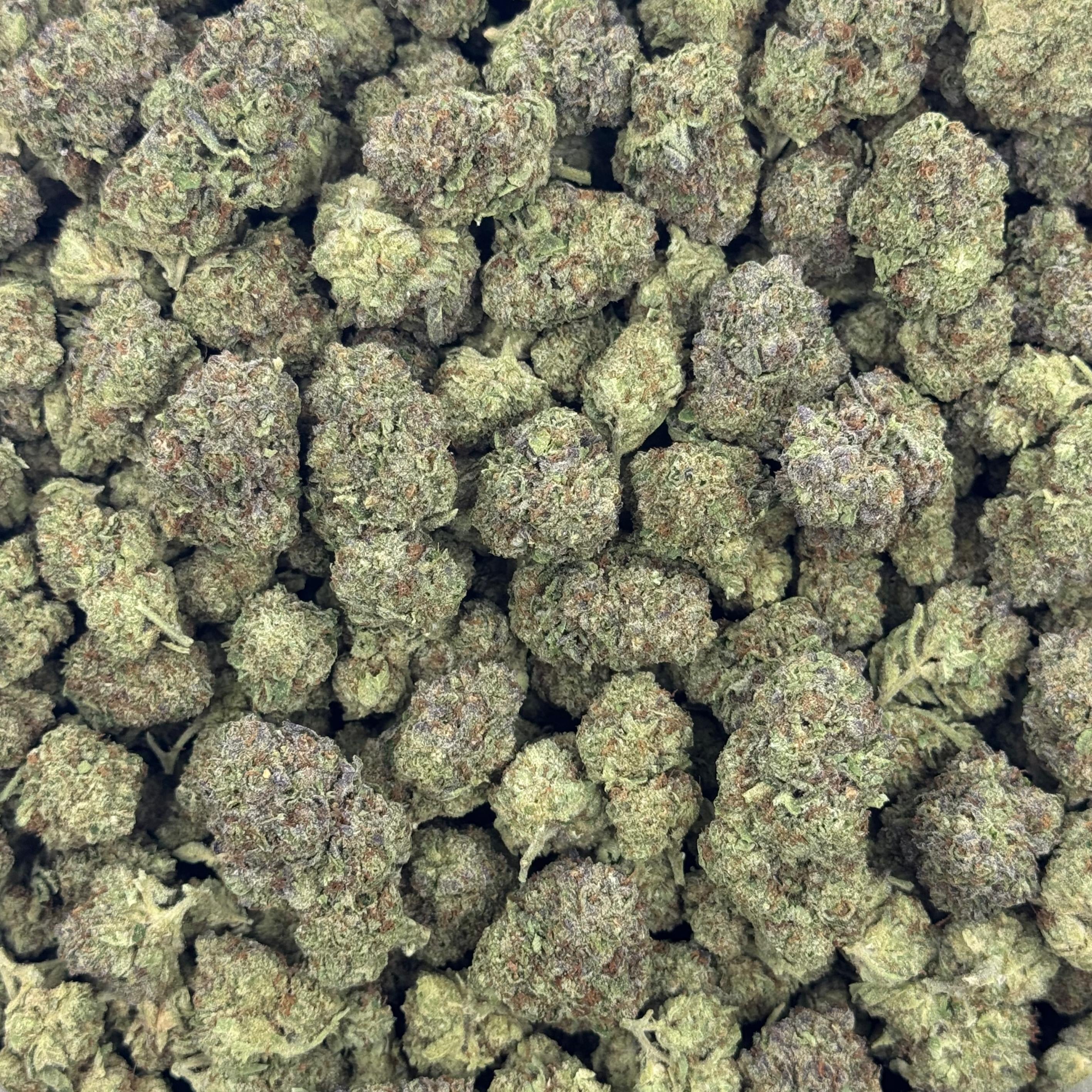 Cookies & Cream - THCA Flower Full Size Buds – THCA King