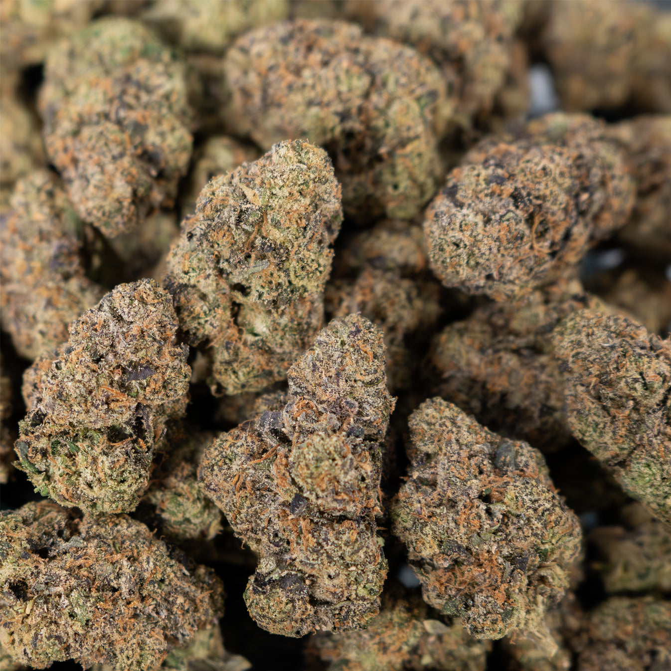 Blue Rose - Exotic THCA (Full Size) – THCA King