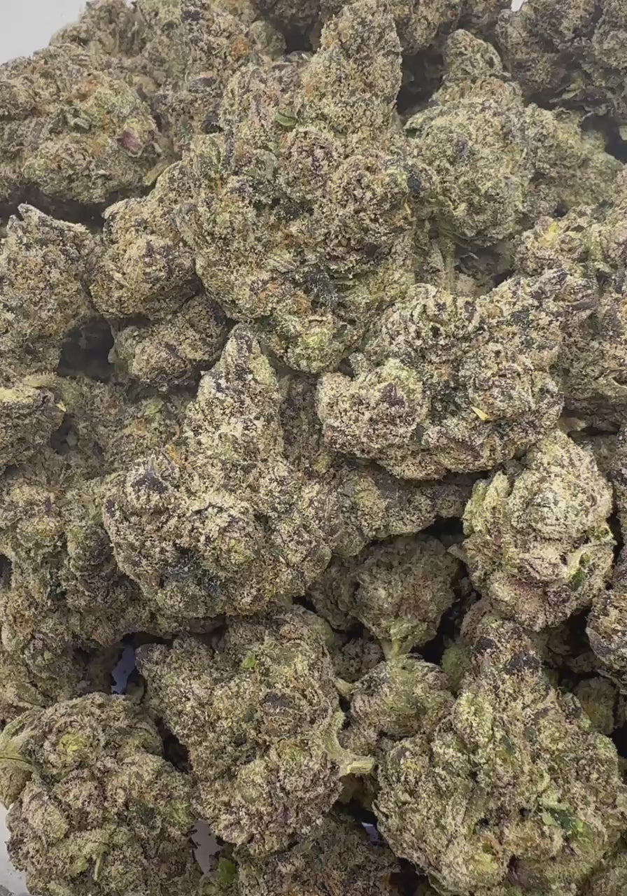 Grape Gumbo Exotic Indoor THCA Flower Full Size Buds – THCA King