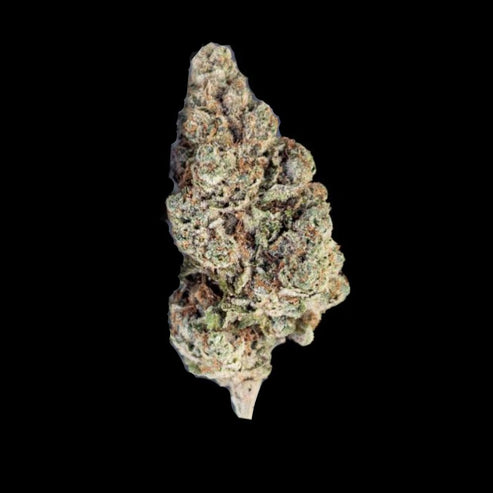 Runtz OG Indoor THCA Flower Full Size Buds – THCA King