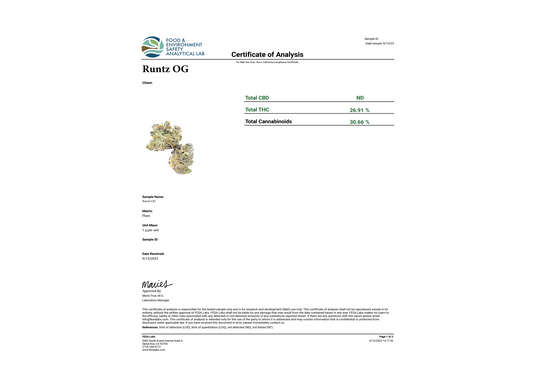 Runtz OG Indoor THCA Flower Full Size Buds – THCA King