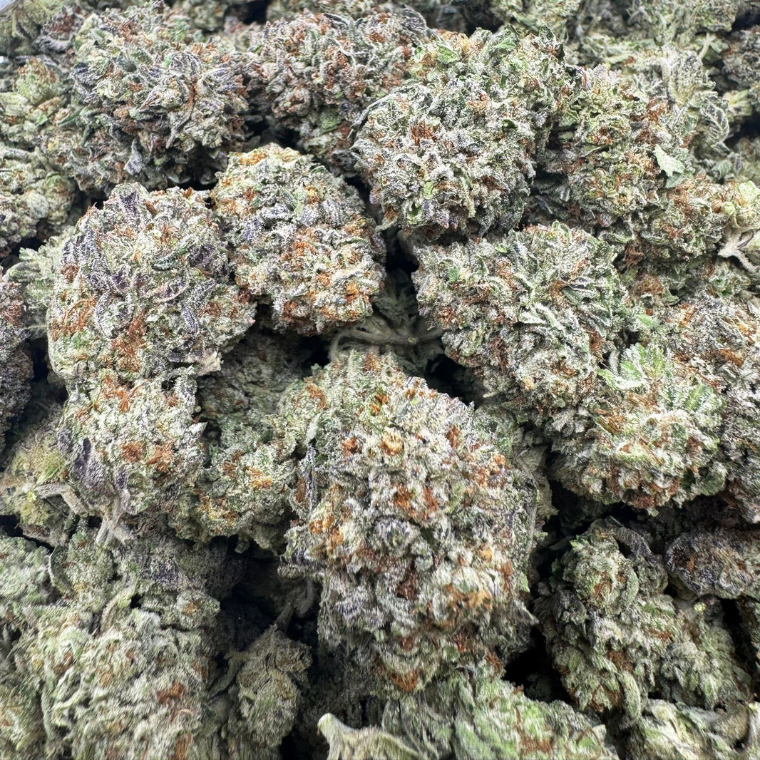 Greenhouse THCA Flower $550 Pounds! – THCA King