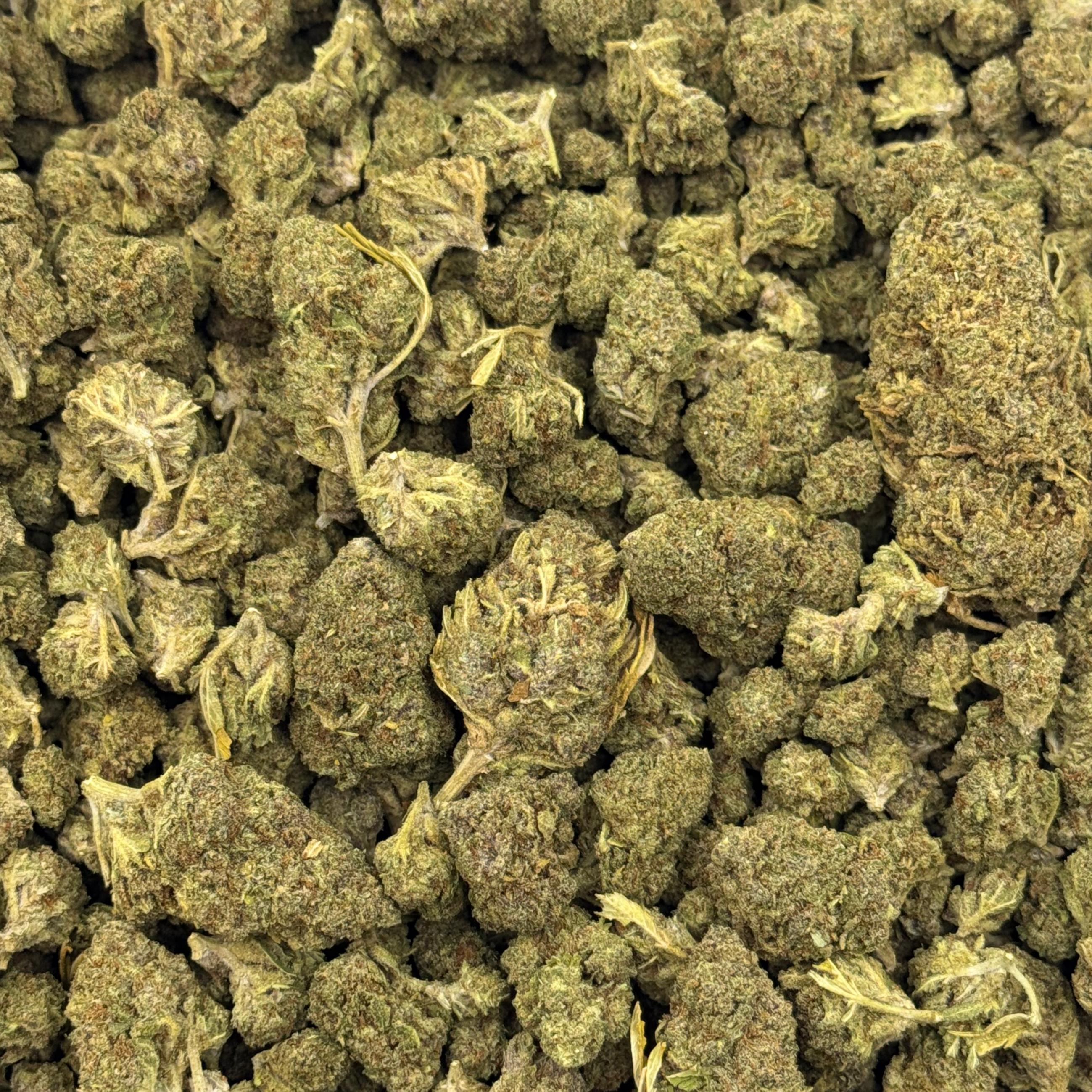 Scout's Honor – Budget THCA Buds – THCA King