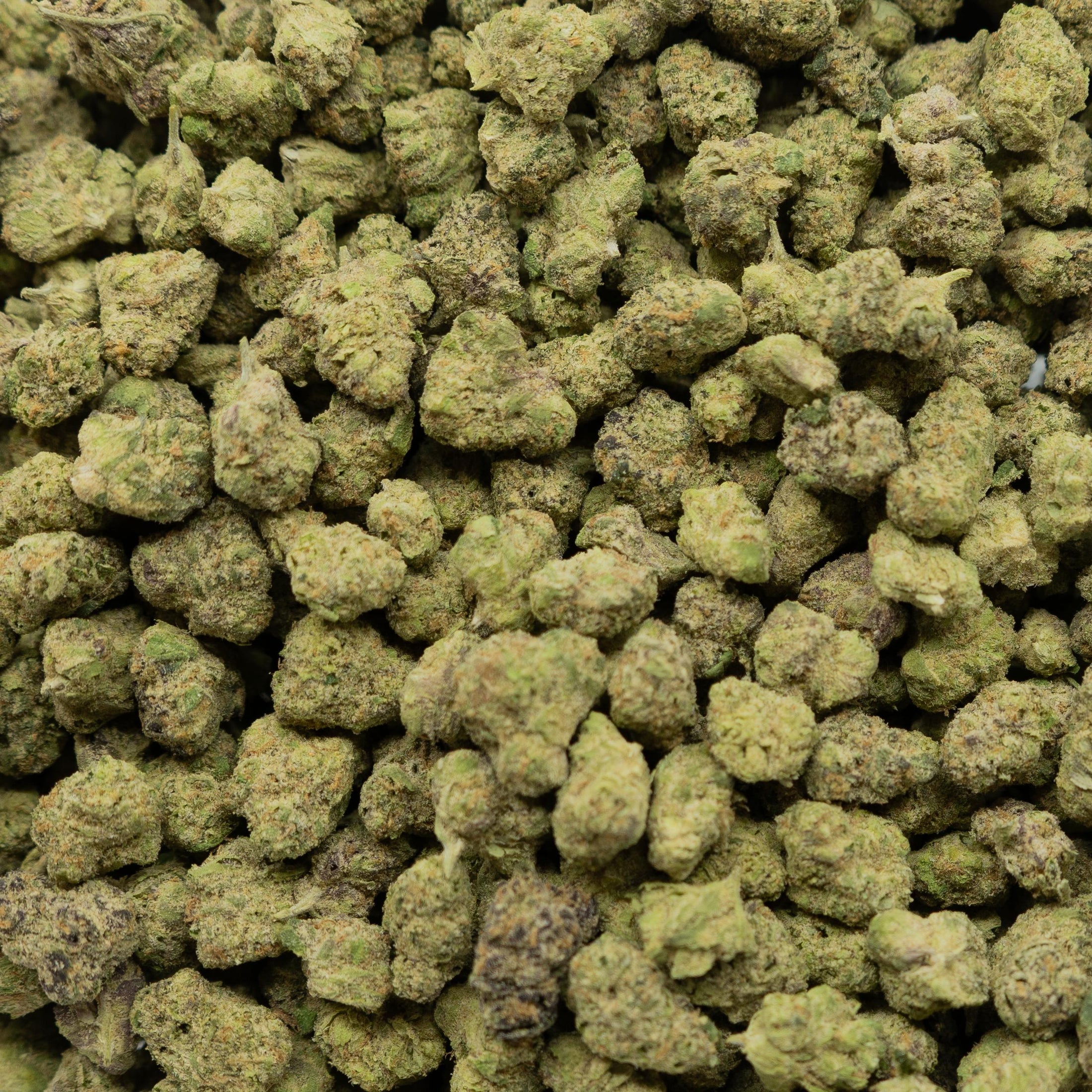 White Runtz Greenhouse THCA Small Buds | The OG Smalls by THCA King