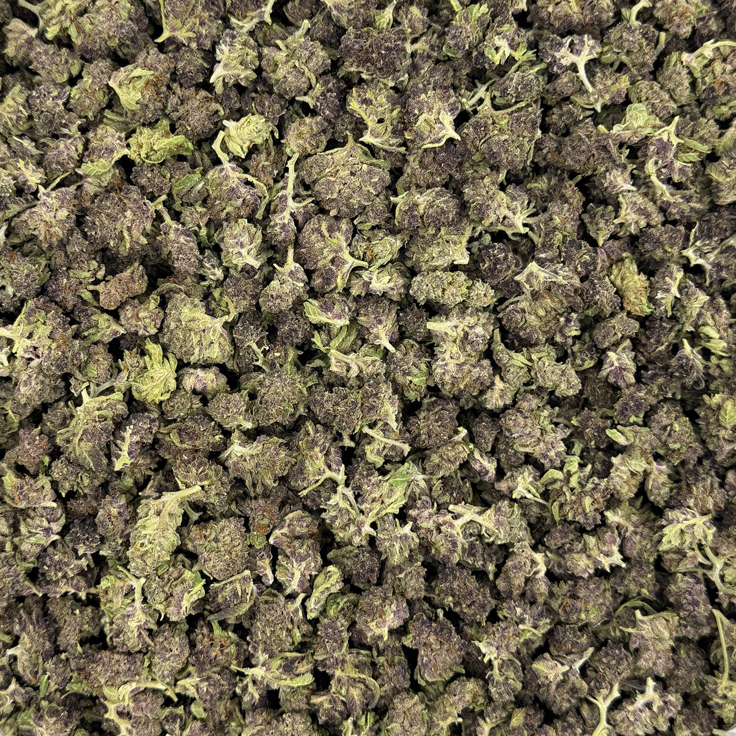 Thca Small Buds Thca King