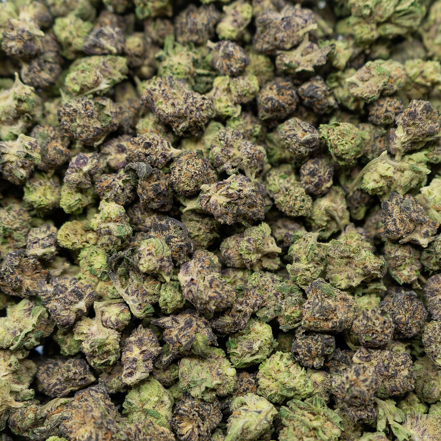 Ice Cream Cake Indoor THCA Small Buds – THCA King