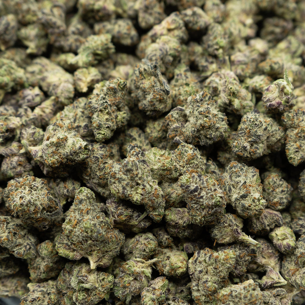 White Chocolate Chip Exotic Indoor THCA Flower Small Buds – THCA King